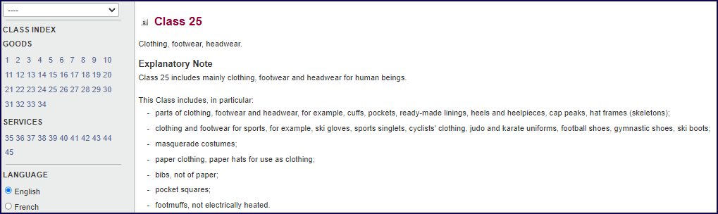 What is the International Nice Classification? | BIP